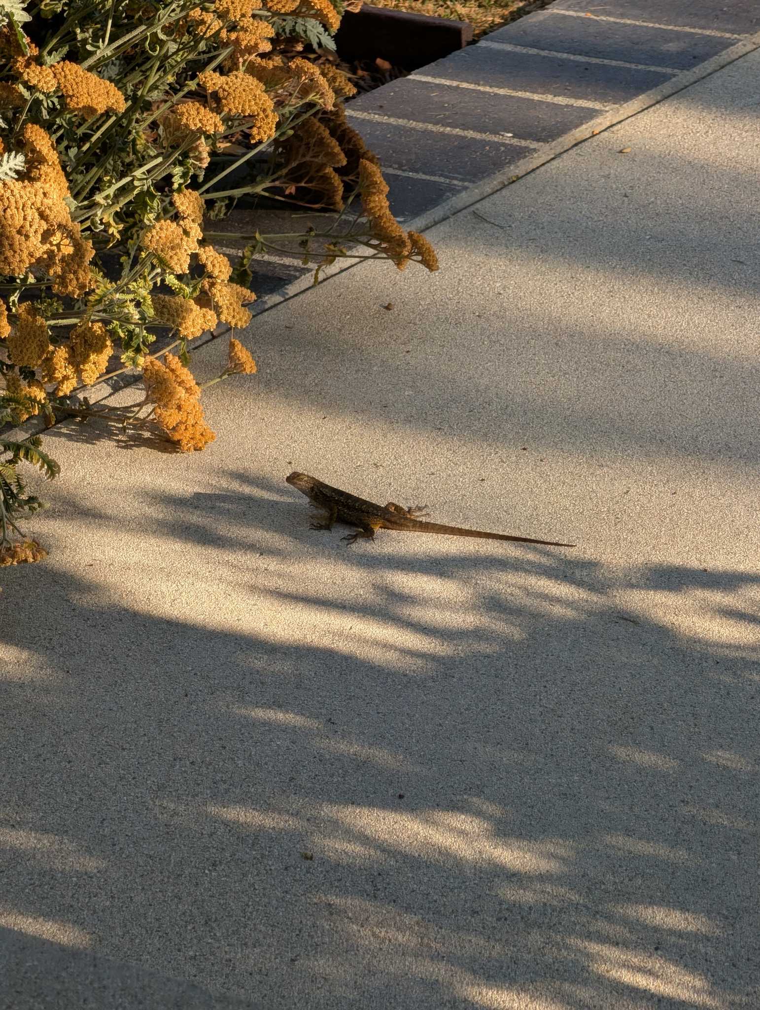 구글 픽셀 10 vs. 역대 픽셀 전체 비교…"순정 구글 경험으로 업그레이드해볼까" | ITWorld